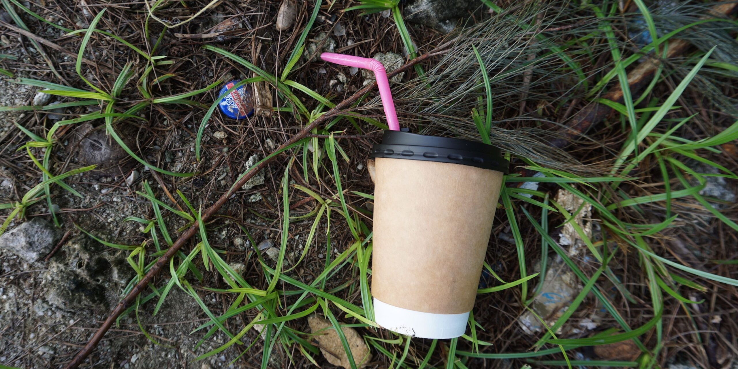 Out of Eden Walk in the Classroom - National Geographic Society